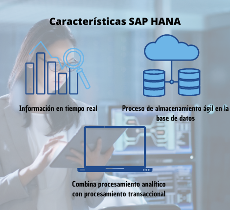 SAP HANA, Realiza La Toma Decisiones En Tiempo Real • LSI Soluciones